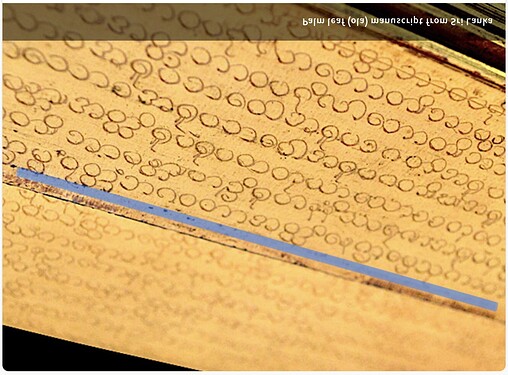 SuttaCentral 2021: we are live! - Updates - Discuss & Discover